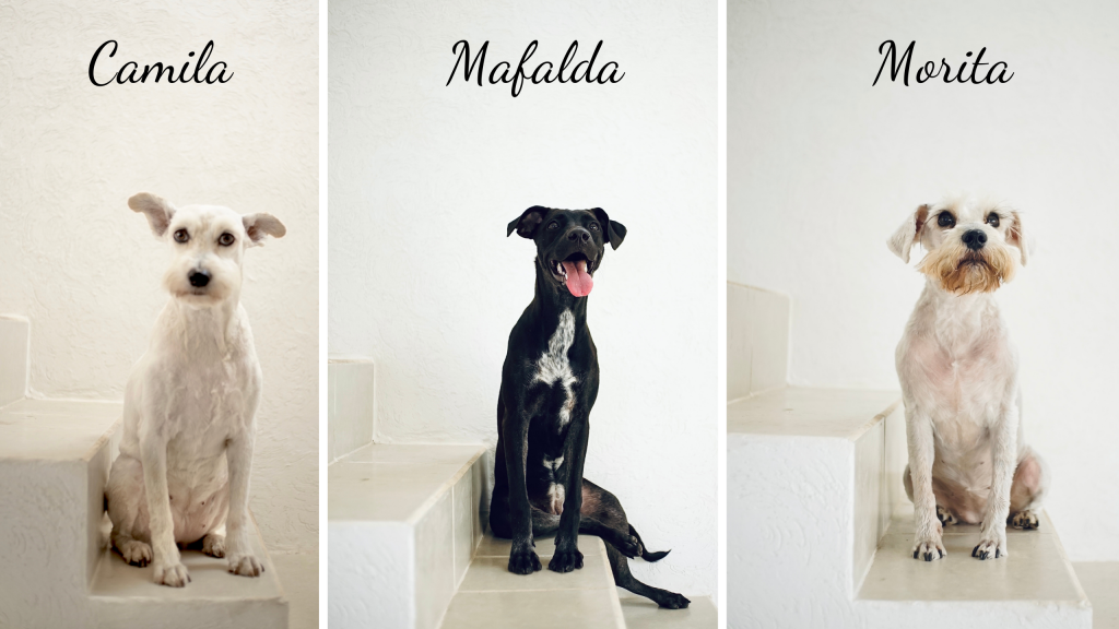 Ser un FORASTERO, por Alex y Tiki de Somos Forasteros